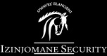 Home [izinjomanesecurity.com]